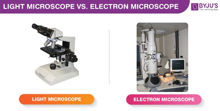 Light Vs. Electron Microscopes - ClassNotes.ng