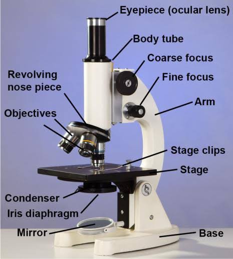 Use And Care Of The Microscope - Class Notes