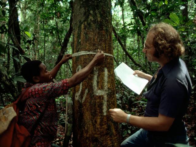 Importance Of Fieldwork In Ecology – ClassNotes.ng