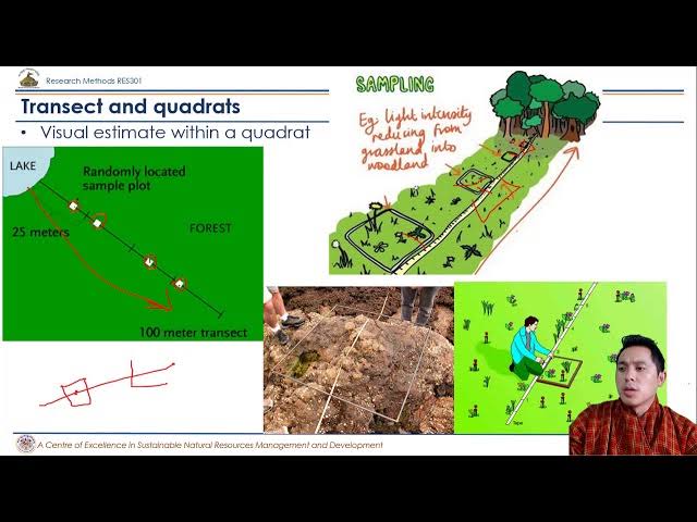 Quadrat And Transect Methods - ClassNotes.ng