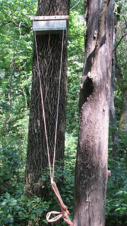 Pitfall Traps, Sherman Traps, Camera Traps - Class Notes