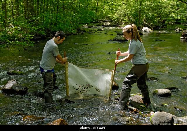 Plankton Nets, Kick Sampling, Seine Nets - ClassNotes.ng