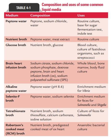 Types Of Media And Nutritional Types - ClassNotes.ng