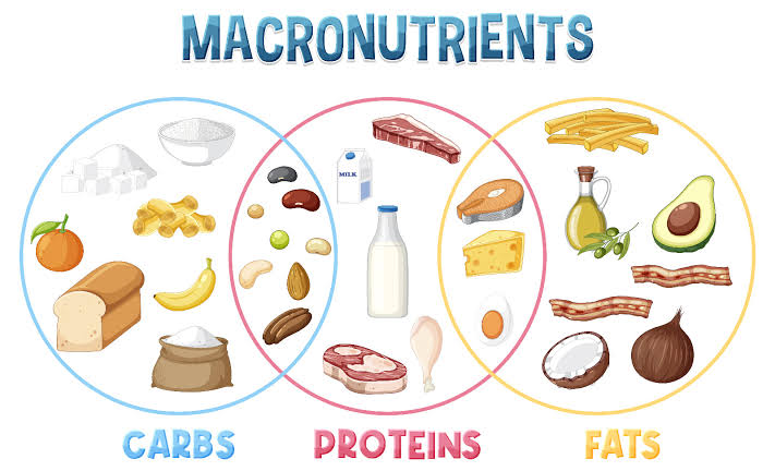 Macronutrients And Micronutrients - Class Notes