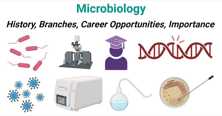 Branches And Applications Of Microbiology - Class Notes
