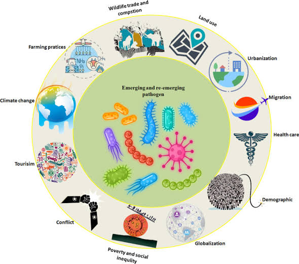 Emerging And Re-emerging Diseases - ClassNotes.ng