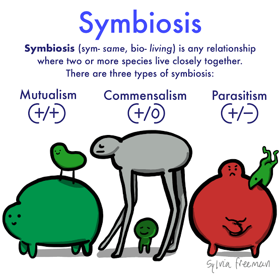 Symbiosis, Parasitism, Commensalism - ClassNotes.ng