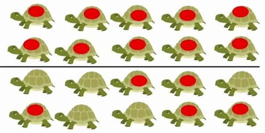 Mark-Recapture Methods - ClassNotes.ng