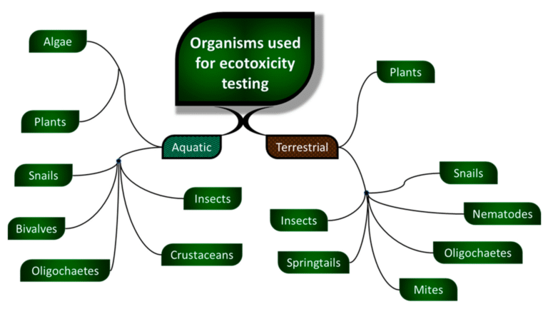 Principles Of Environmental Toxicology - Class Notes
