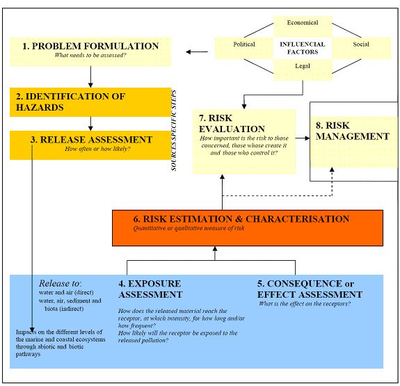Environmental Risk Assessment - Class Notes