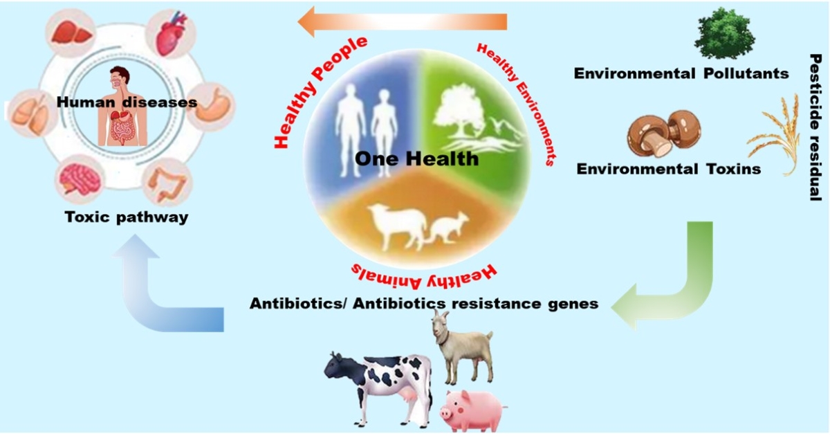 Toxic Chemicals & Environmental Health - Class Notes
