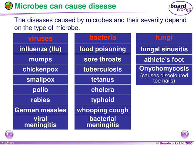 Microorganisms And Disease - ClassNotes.ng
