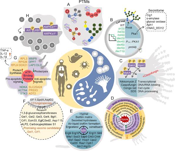 Host-pathogen Interactions - ClassNotes.ng