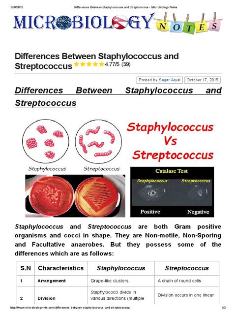 Staphylococcus Aureus, Streptococcus Pyogenes - Class Notes