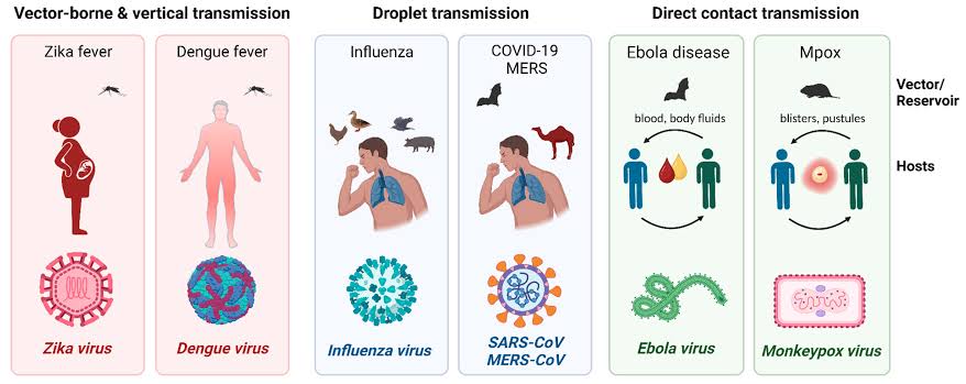 Influenza, Hiv, Poliovirus, Ebola, COVID-19 - ClassNotes.ng