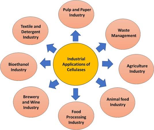 Differences Between Lab And Industrial Microbiology - Class Notes