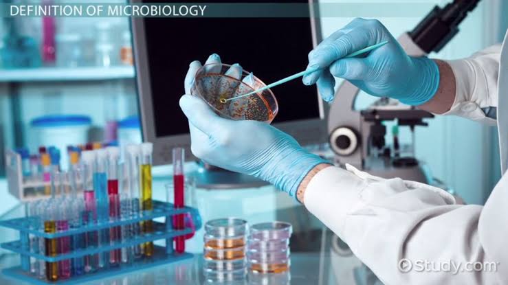 Differences Between Lab And Industrial Microbiology - Class Notes