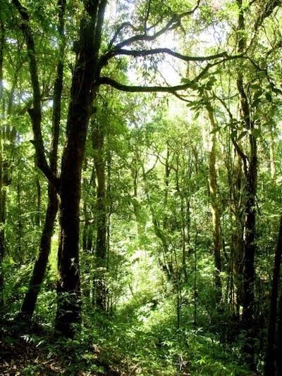 Natural Habitats As Sources - Class Notes