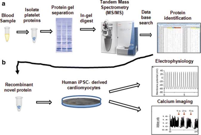 Primary And Secondary Screening - ClassNotes.ng
