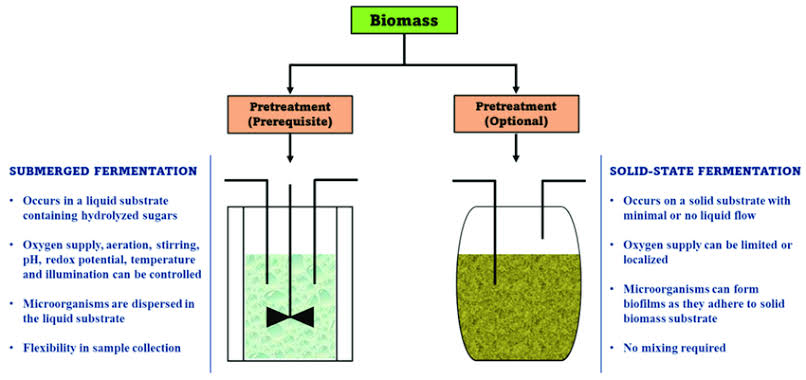 Types Of Fermentation: Solid-state, Submerged - Class Notes