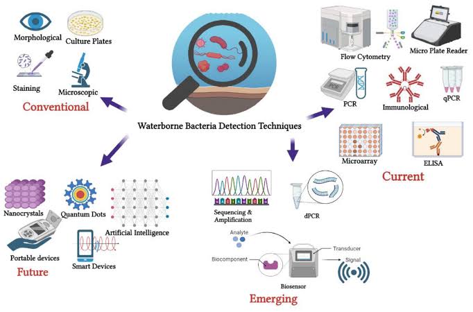 Detection And Control Of Waterborne Pathogens - ClassNotes.ng