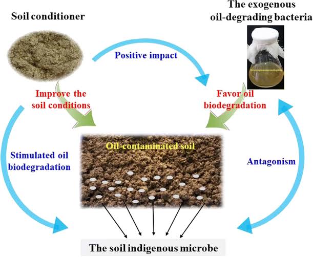 Microbial Degradation Of Petroleum, Heavy Metals, And Pesticides ...