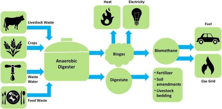Bioenergy From Waste (E.g., Methane Production) - ClassNotes.ng