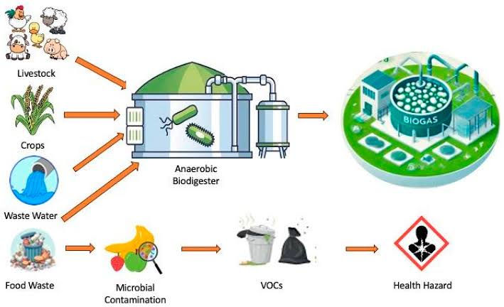Bioenergy From Waste (E.g., Methane Production) - Class Notes