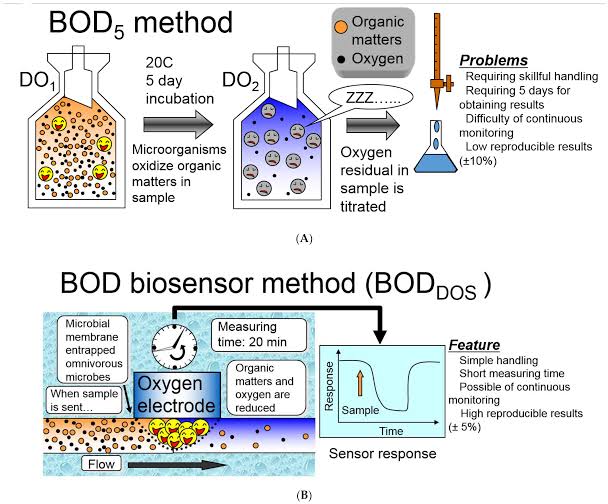Microbial Biosensors For Pollutants. - ClassNotes.ng