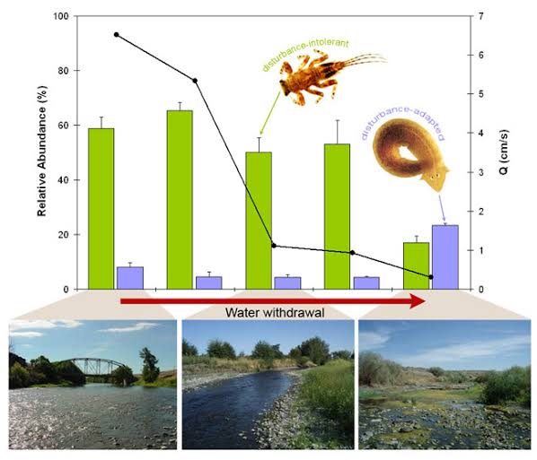 Bioindicators Of Pollution - ClassNotes.ng