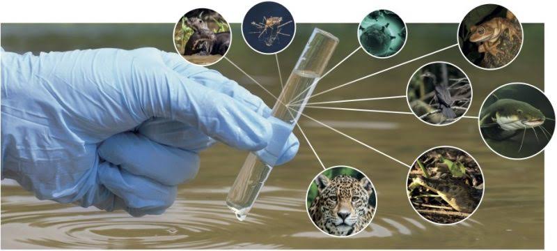 Environmental Sources Of Infectious Diseases - ClassNotes.ng