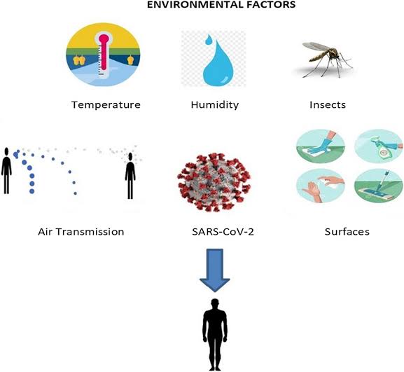 Environmental Sources Of Infectious Diseases - Class Notes