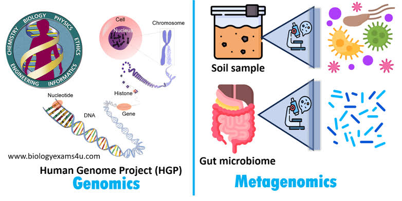 Genomic Libraries And Bioinformatics Basics - Class Notes