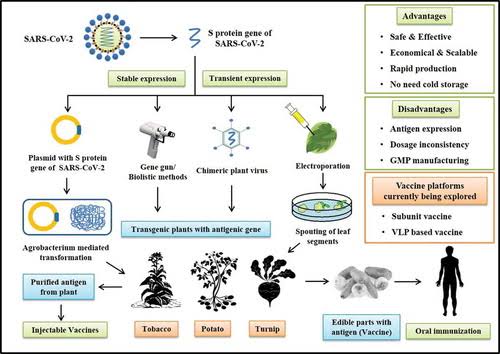 Microbial Applications In Plant Growth Promotion - Class Notes
