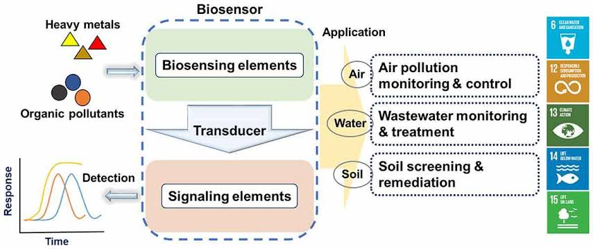 Biosensors For Environmental Monitoring - ClassNotes.ng