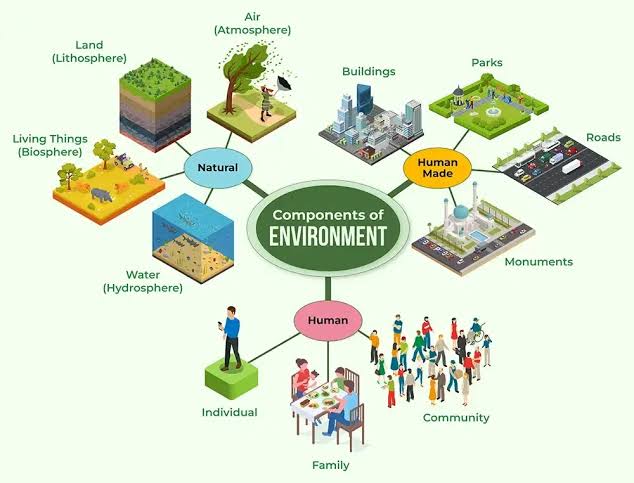 The Environment And Its Components - ClassNotes.ng