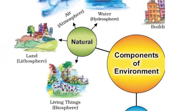 The Environment And Its Components - Class Notes