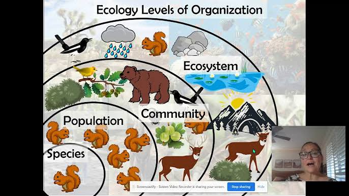 Population Ecology - Class Notes