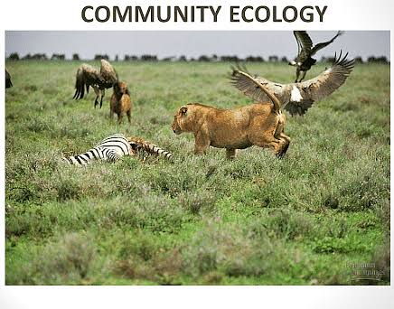 Community Ecology - Class Notes
