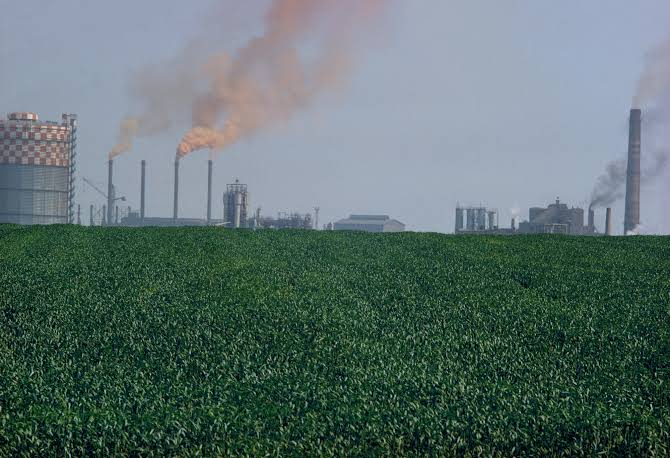 Human Impact On The Environment - Class Notes