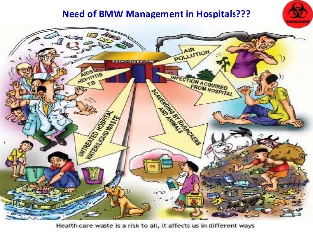 Waste Management & Public Health - ClassNotes.ng