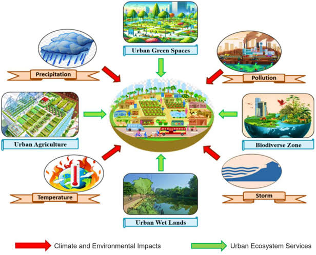 Urbanization Ecosystem Stress Classnotes Ng