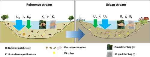 Urbanization Ecosystem Stress Classnotes Ng
