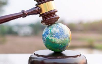 Environmental Law & Policy In Nigeria - ClassNotes.ng