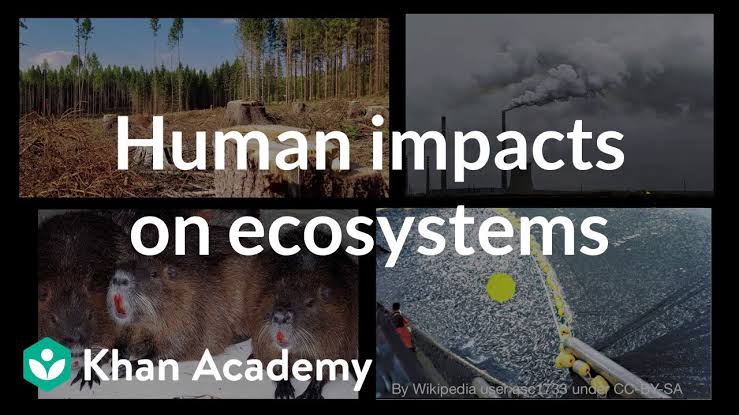 Human Impacts On Ecosystems - ClassNotes.ng
