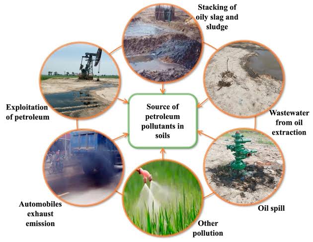 Oil Spill Ecology And Remediation - Class Notes