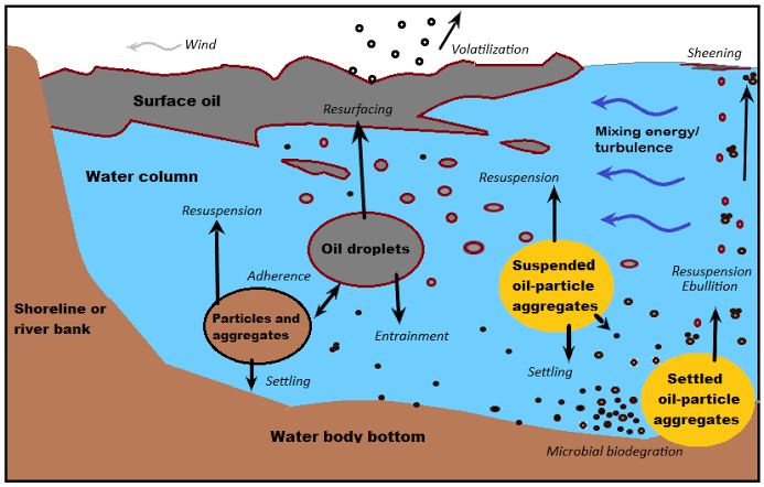 Oil Spill Ecology And Remediation - ClassNotes.ng