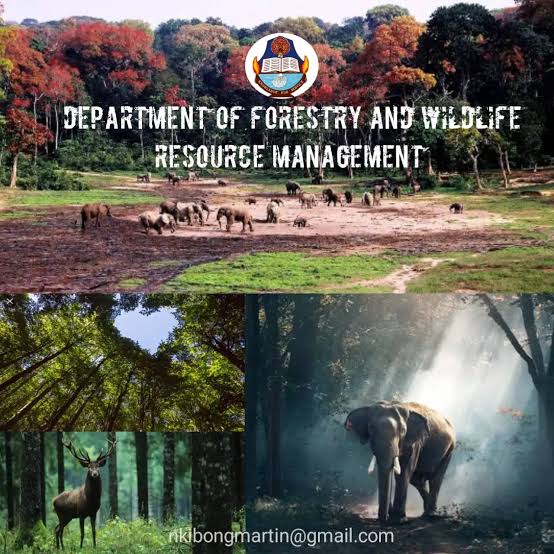 Resource Management: Forest & Wildlife - Class Notes
