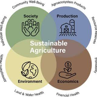 Sustainable Agriculture And Agroecosystems - ClassNotes.ng