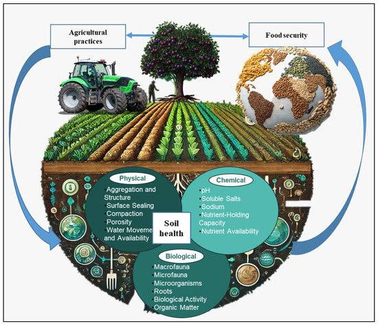 Sustainable Agriculture And Agroecosystems - ClassNotes.ng